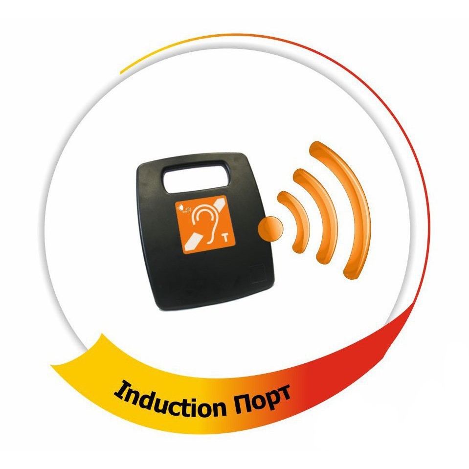 Индукционная система Induction Порт в Интернет-магазине Доступная Среда